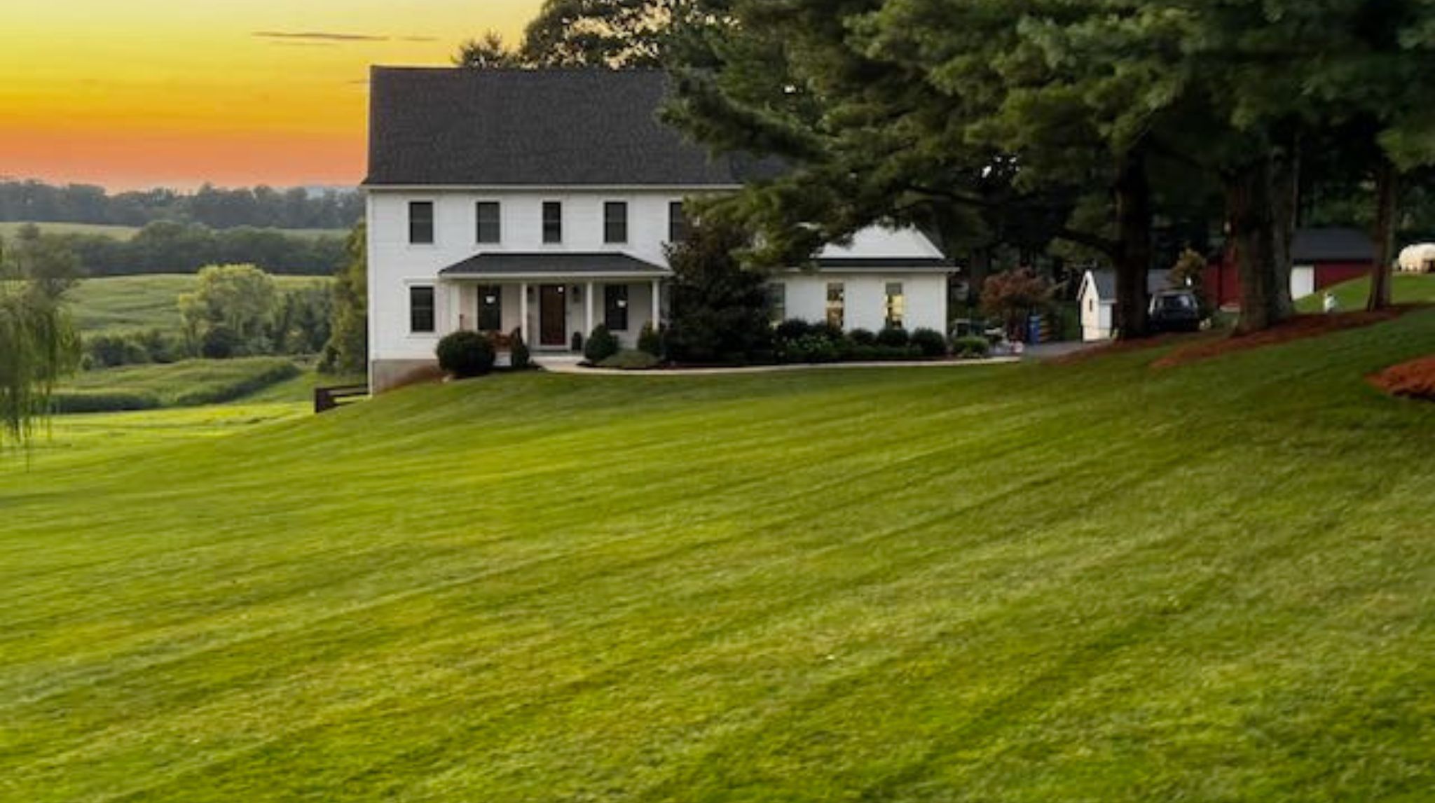 Forever Green Program by Madbar